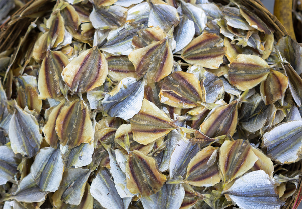 ปลาข้างเหลือง - asiaworldtrade