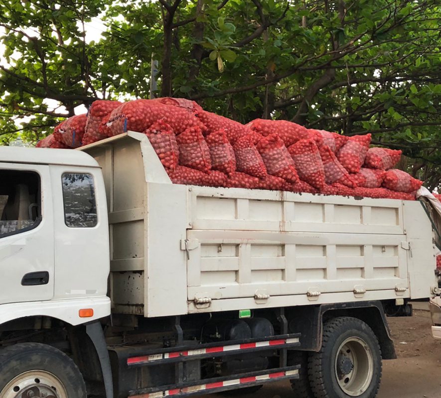 Red onion exporting - asiaworldtrade